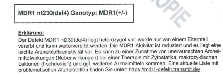 MDR1-Gendefekt beim Hund - Was bedeutet das genau? - sleepherds