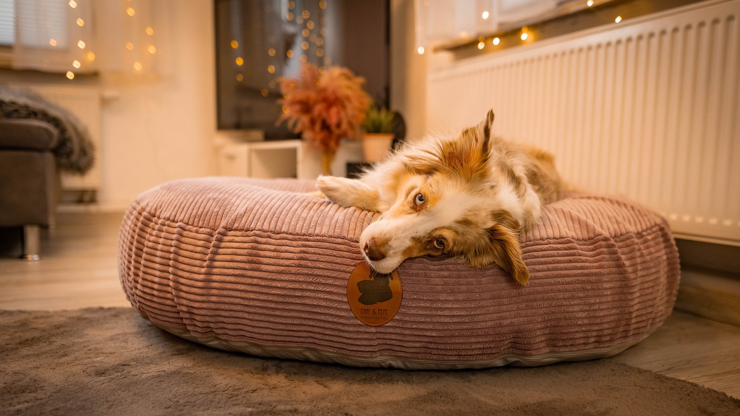 Emmy & Pepe Wau-Bed im Test - 5 Gründe, die dafür sprechen - sleepherds